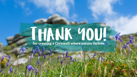 Thank You Week: 2023 | Cornwall Wildlife Trust