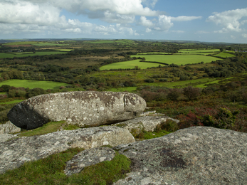 Nature Reserves Virtual Tours | Cornwall Wildlife Trust