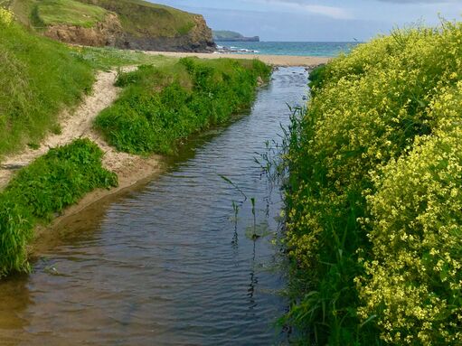 Cornwall Catchment Partnership | Cornwall Wildlife Trust