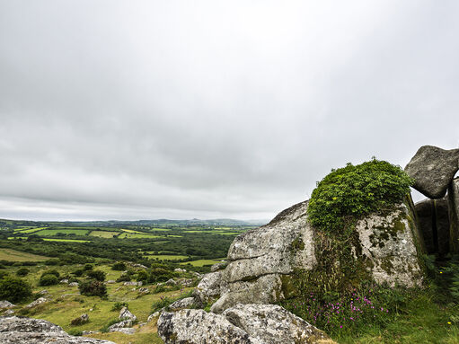Helman Tor | Cornwall Wildlife Trust