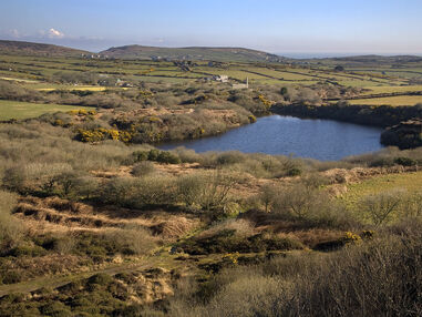 Baker's Pit | Cornwall Wildlife Trust