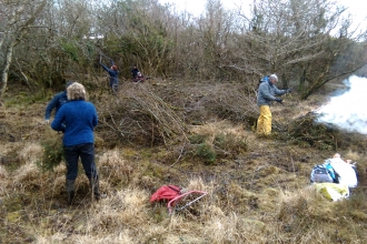Events | Cornwall Wildlife Trust