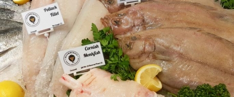 More Cornish seafood makes the grade | Cornwall Wildlife Trust