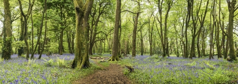 Events | Cornwall Wildlife Trust