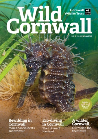 Wild Cornwall - Issue 138 - Spring 2019 | Cornwall Wildlife Trust