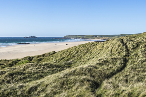 Cornwall Wildlife Trust | Cornwall Wildlife Trust