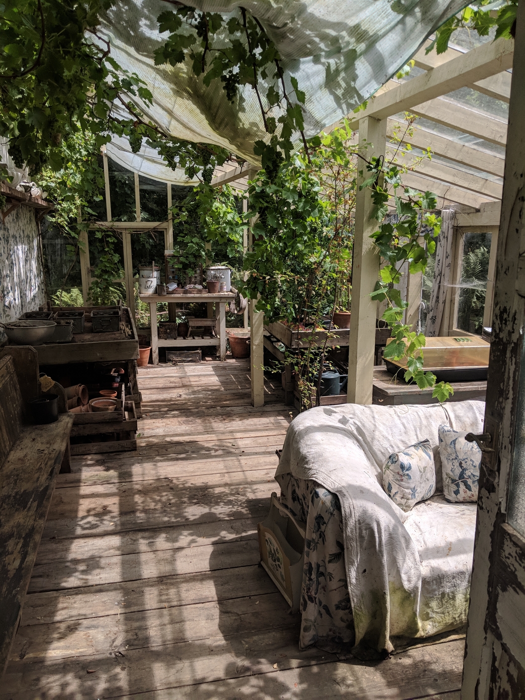 Online Open Garden Series - Trevoole | Cornwall Wildlife Trust