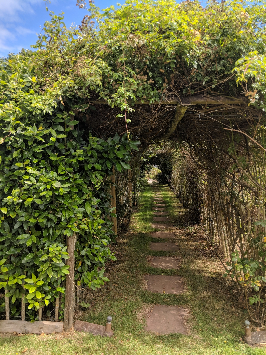 Online Open Garden Series - Trevoole | Cornwall Wildlife Trust