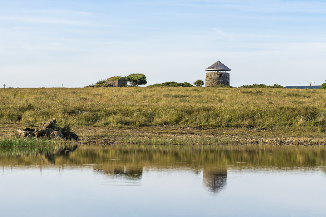 Windmill Farm | Cornwall Wildlife Trust
