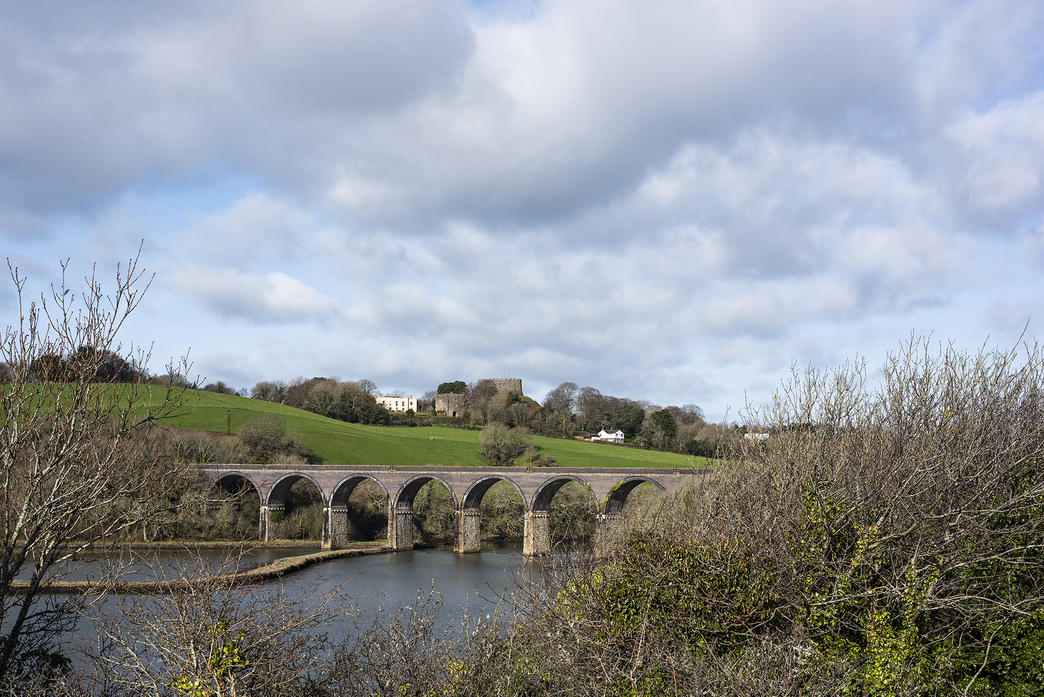 Escape to Cornwall’s nature reserves: Churchtown Farm, Saltash ...