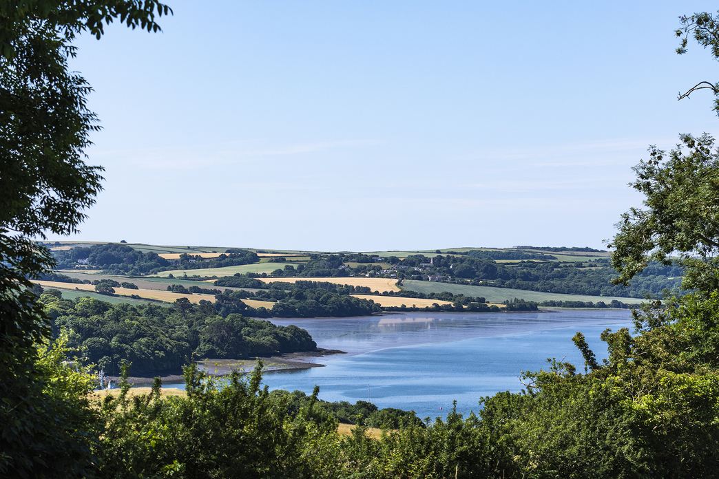 Escape to Cornwall’s nature reserves: Churchtown Farm, Saltash ...