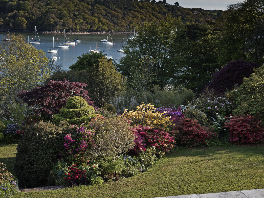Cornish gardens bloom in record-breaking year for Trust | Cornwall ...