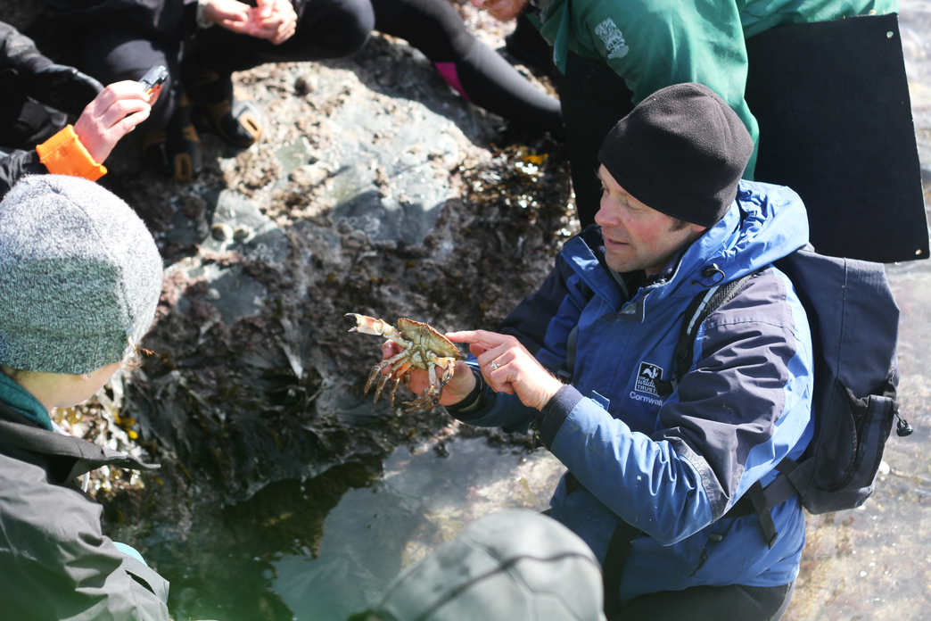 Cornwall Wildlife Trust conservation heroes win national awards ...