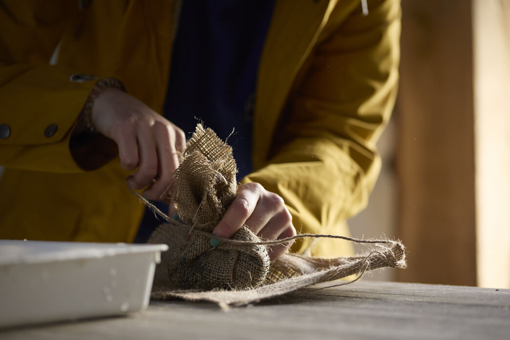 Seagrass meadows ready to take root as Cornwall Wildlife Trust's ...