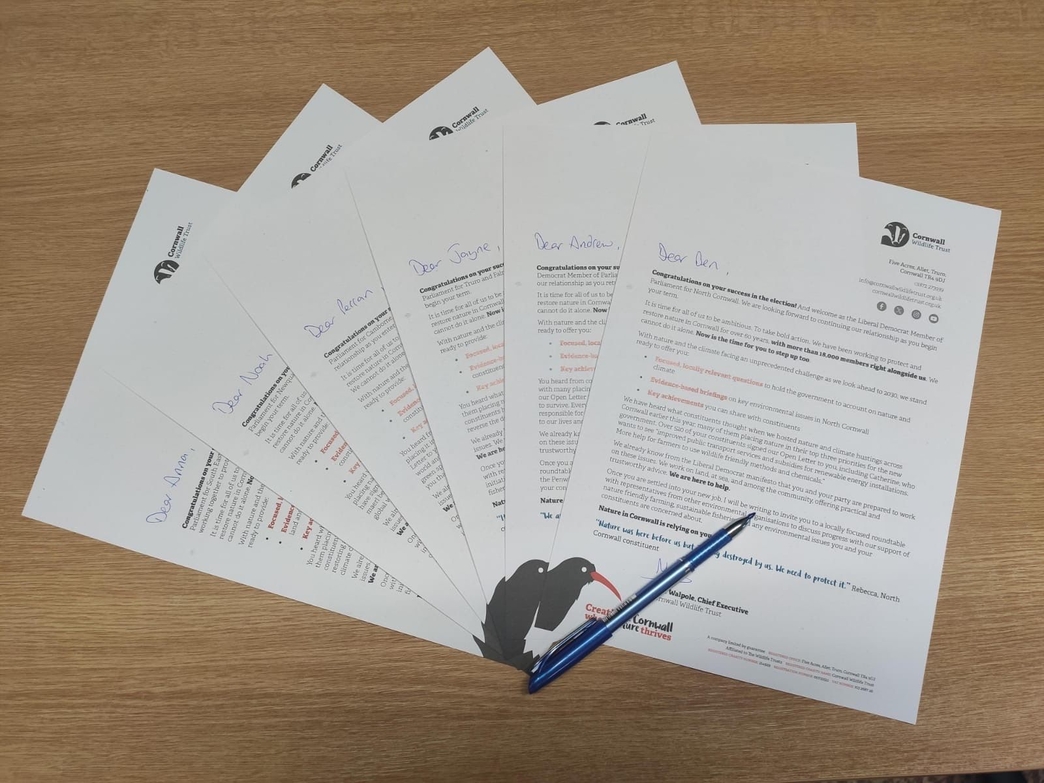 General Election: 2024 Campaign | Cornwall Wildlife Trust