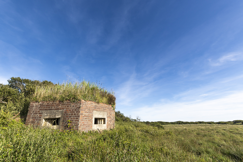 Windmill Farm | Cornwall Wildlife Trust