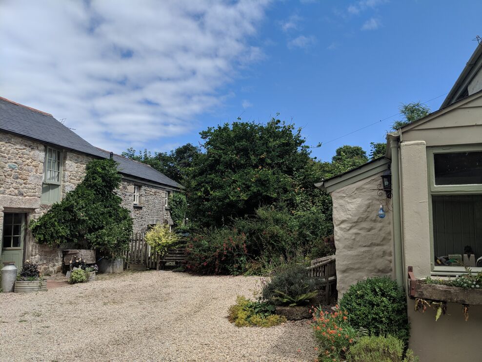 Online Open Garden Series - Trevoole | Cornwall Wildlife Trust