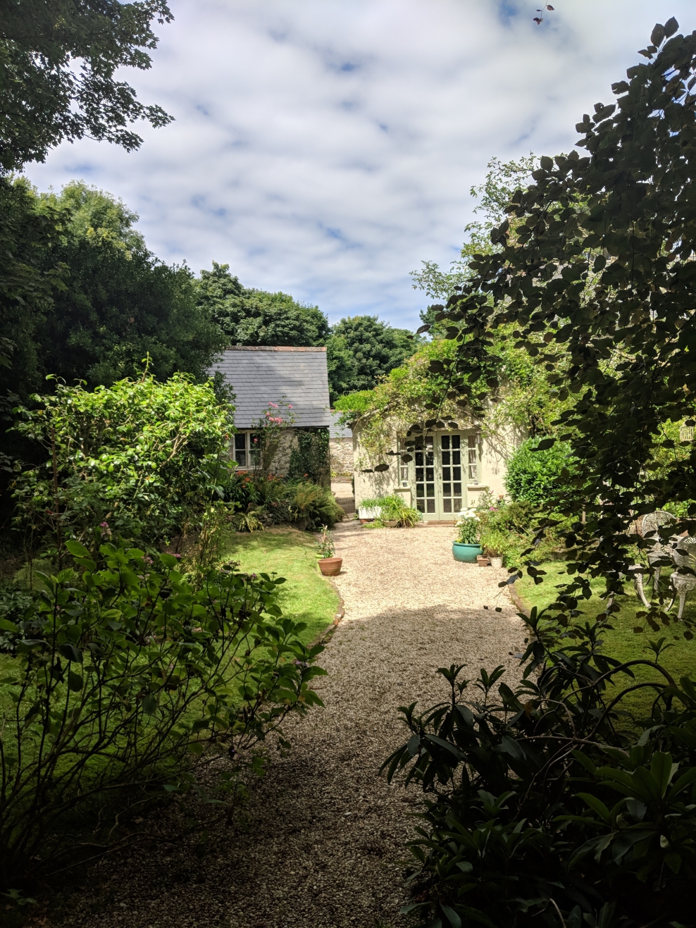 Online Open Garden Series - Trevoole | Cornwall Wildlife Trust