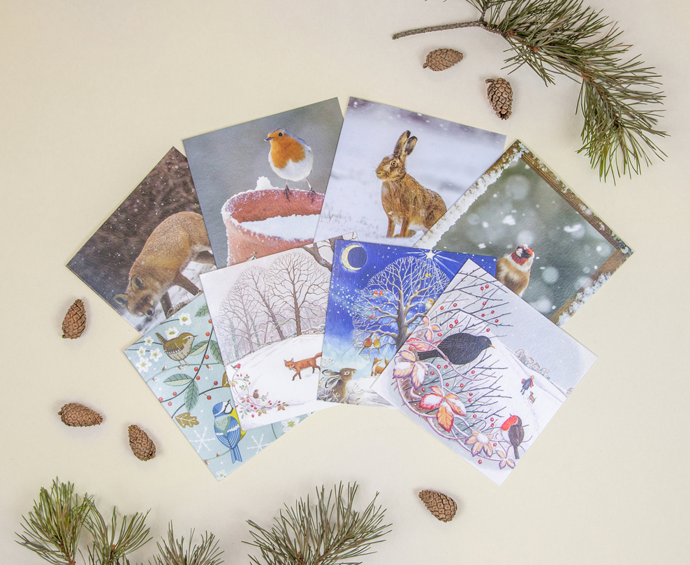 Cornwall Wildlife Trust's 2022 Christmas card range donated by ...