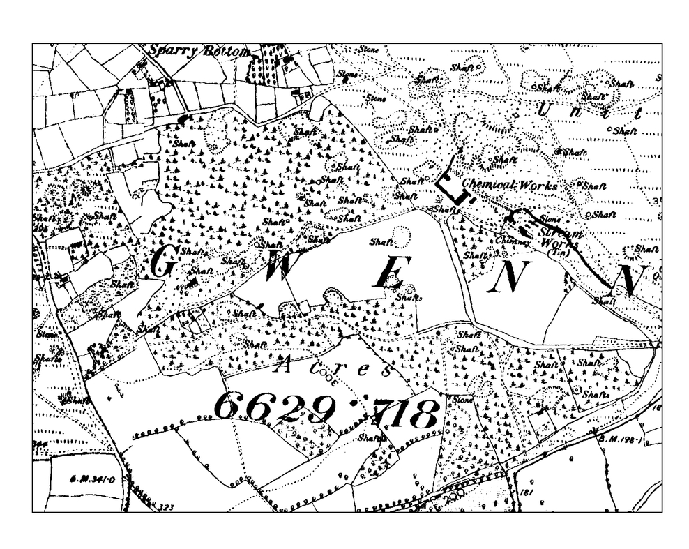 Ancient Woodland Inventory (AWI) Update Project | Cornwall Wildlife Trust