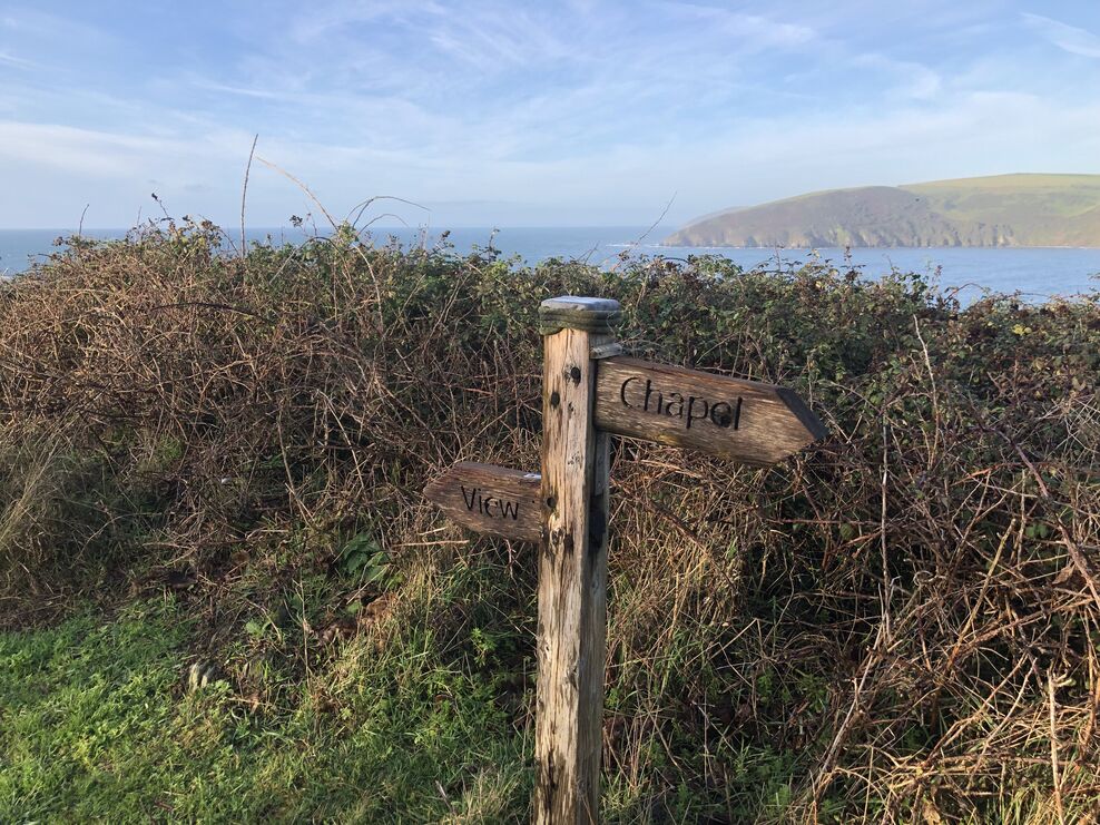 Looe Island Holidays | Cornwall Wildlife Trust