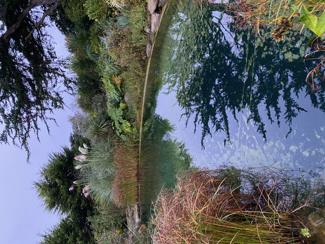 Open Gardens - Trelan | Cornwall Wildlife Trust