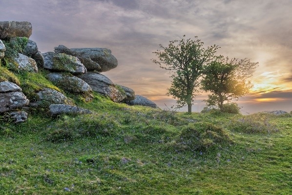Nature Reserves Virtual Tours | Cornwall Wildlife Trust