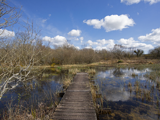 Run the Eden Project Marathon | Cornwall Wildlife Trust