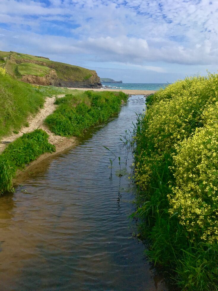 Cornwall Catchment Partnership | Cornwall Wildlife Trust