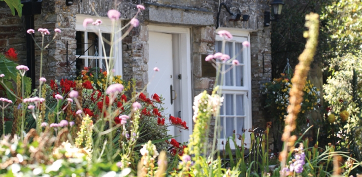 Online Open Garden Series - Duloe Manor | Cornwall Wildlife Trust