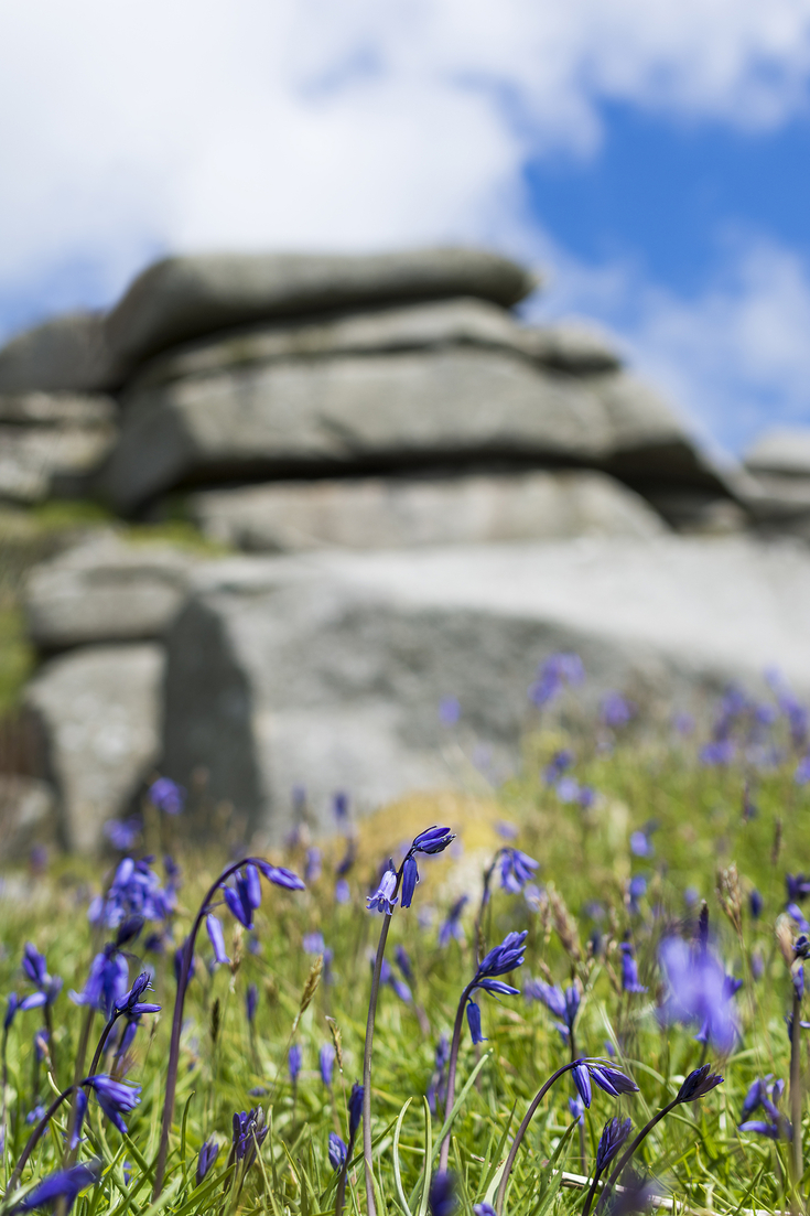 Helman Tor | Cornwall Wildlife Trust
