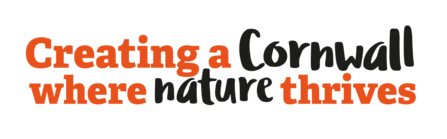 Cornwall Wildlife Trust | Cornwall Wildlife Trust